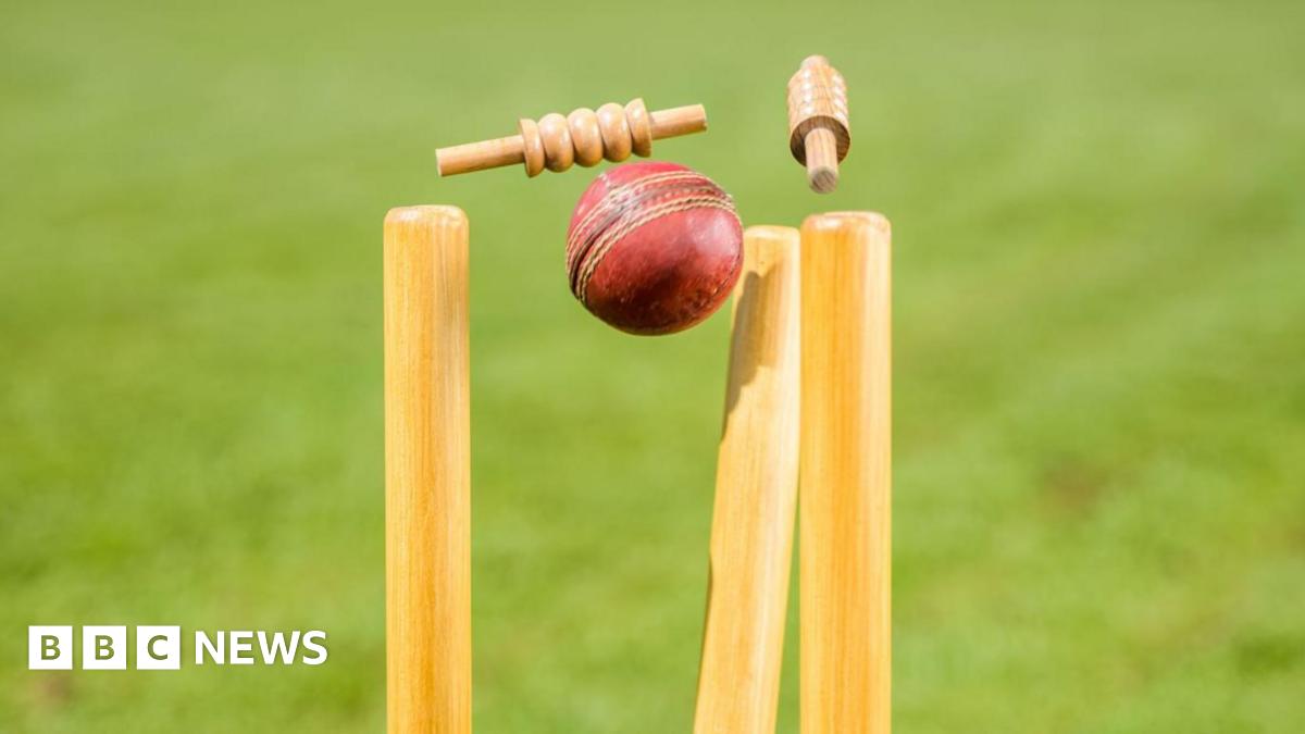 Speed of cricket balls cause row over Bingley housing scheme - BBC News