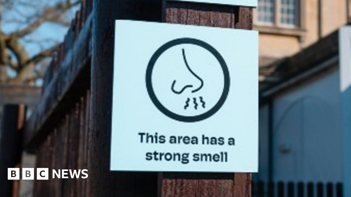 Longleat's 'strong smell', 'hot' and 'noisy' signs praised - BBC News