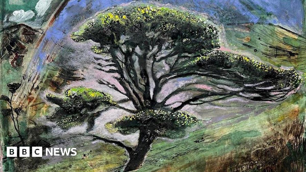 Tree paintings on show: 'Accidental survivors in dense forests' - BBC News