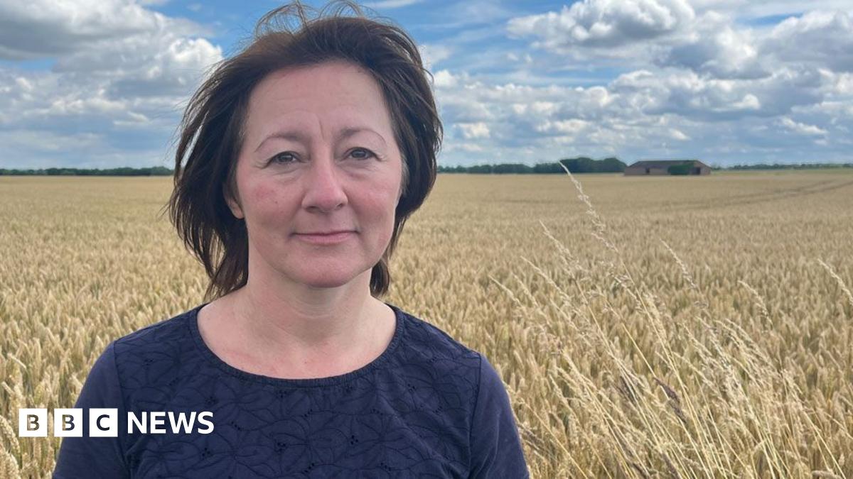 Villagers 'shell-shocked' after Sunnica solar farm approved - BBC News