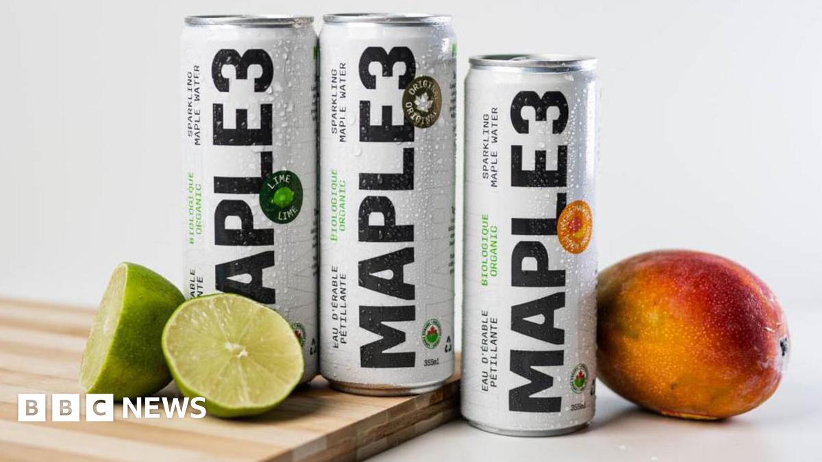 Can Canadians get the world drinking tree sap? - BBC News