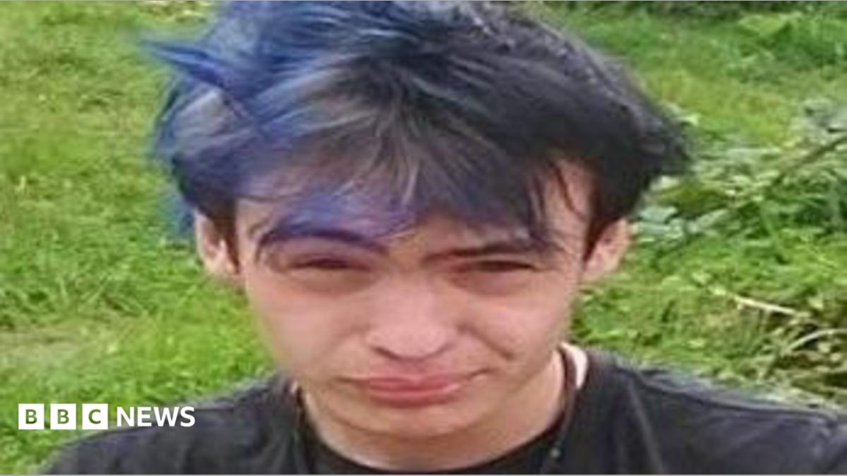Maidstone residents urged to check gardens for missing teenager - BBC News