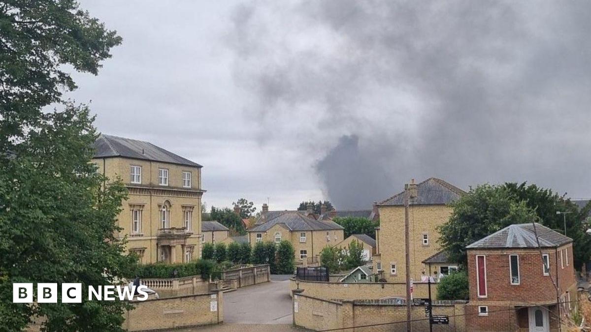 Wisbech electricity pylon fire spread to nearby hedges - BBC News