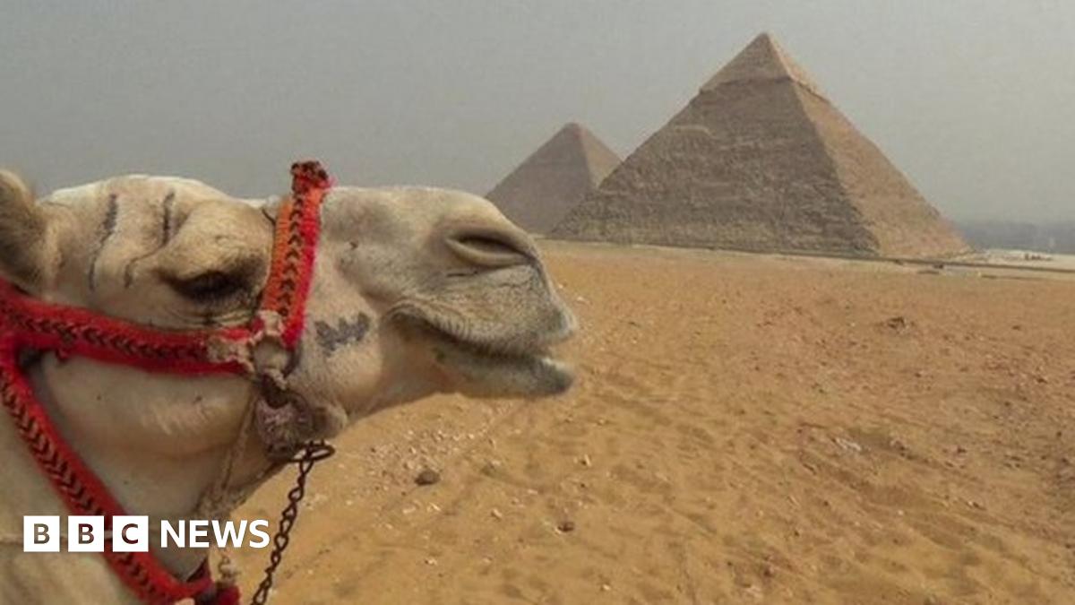 The Vocabularist: Which came first, cake or pyramid? - BBC News