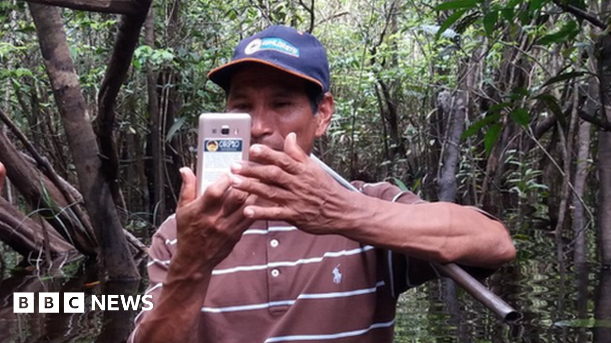 Climate change: Technology boosts efforts to curb tree loss in Amazon ...