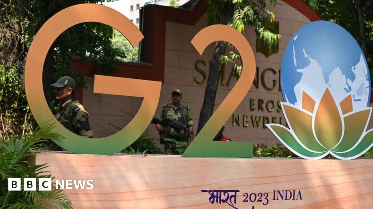 G20: Russia's Sergei Lavrov calls Delhi summit a 'milestone' - BBC News