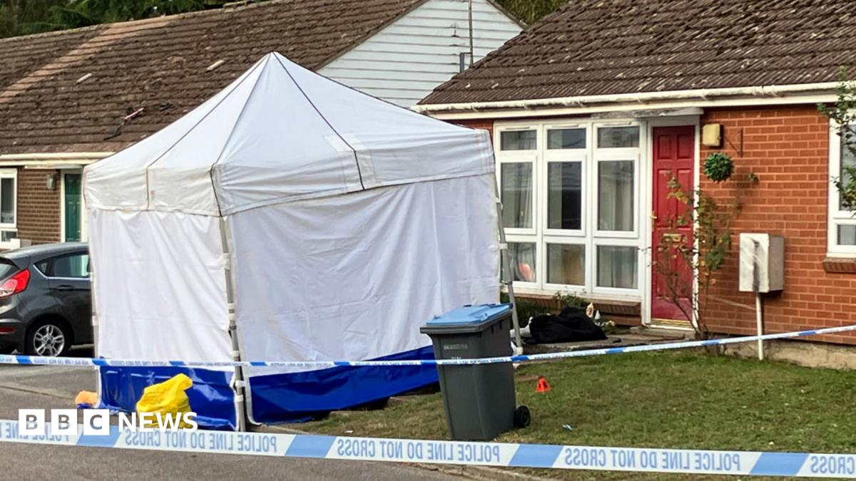 Murder probe after man found dead in Sutton - BBC News