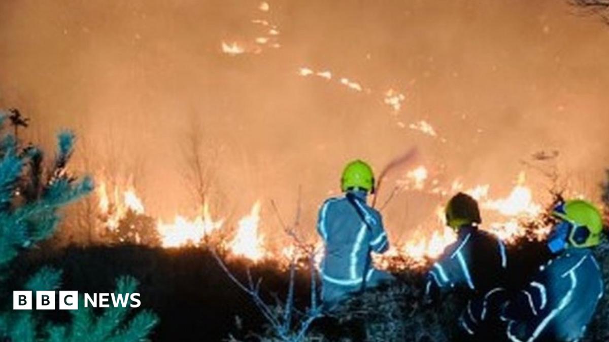 Large heath fire breaks out near Church Crookham - BBC News