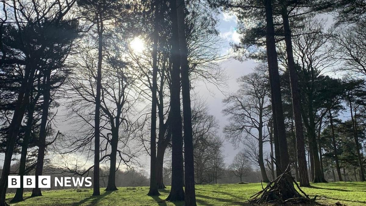 England's Big Picture: 17 - 23 February - BBC News