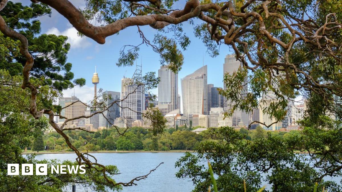 Sydney's tree wars: Greed and harbour views fuel vandalism - BBC News