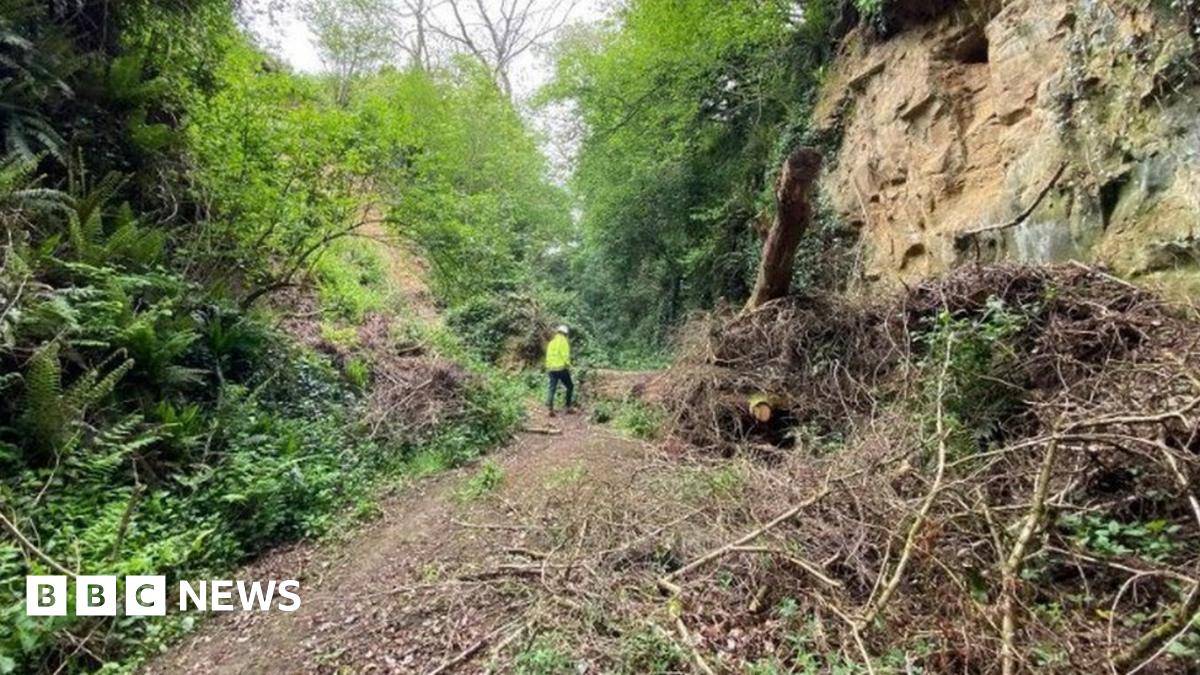 Somerset Council says Chinnock Hollow still closed despite signage ...