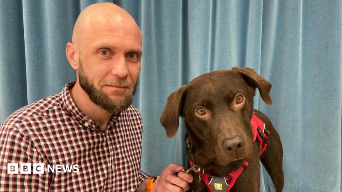 Support dogs for PTSD veterans in Somerset are changing lives - BBC News
