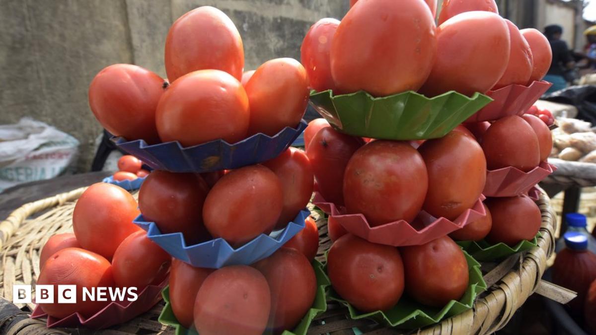Nigeria's tomato crisis: Can you make stew without tomatoes? - BBC News