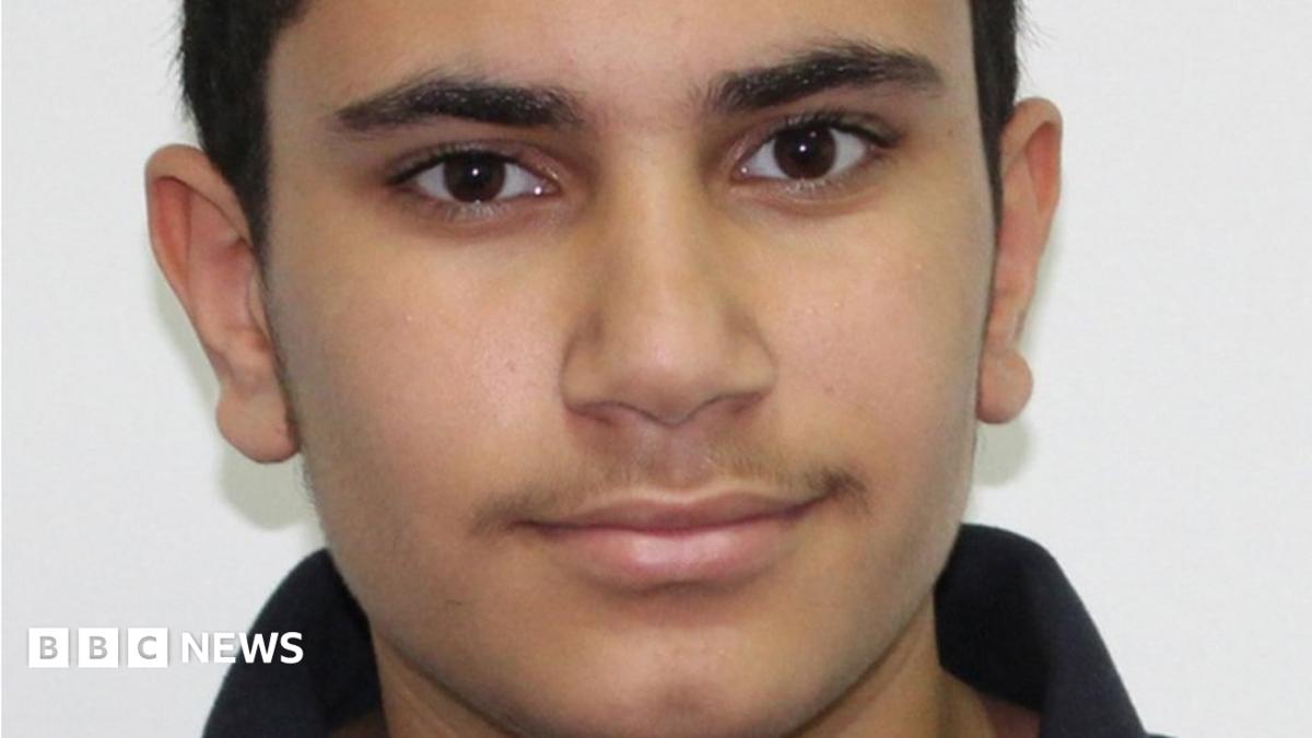 Palestinian Harvard student barred from US is allowed in - BBC News