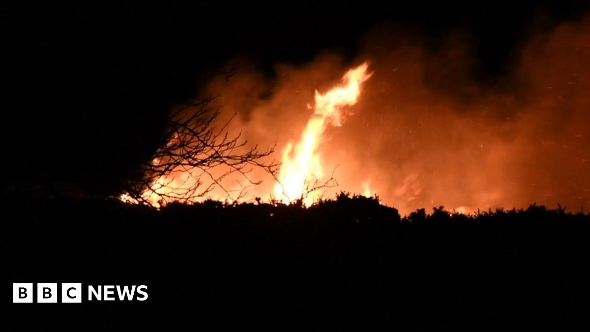 Devon and Cornwall wildfires could 'devastate wildlife' - BBC News