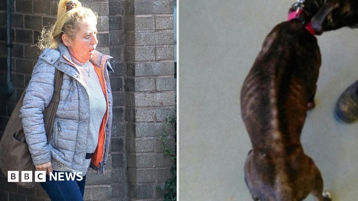 Woman 'starved pet dog to death' - BBC News