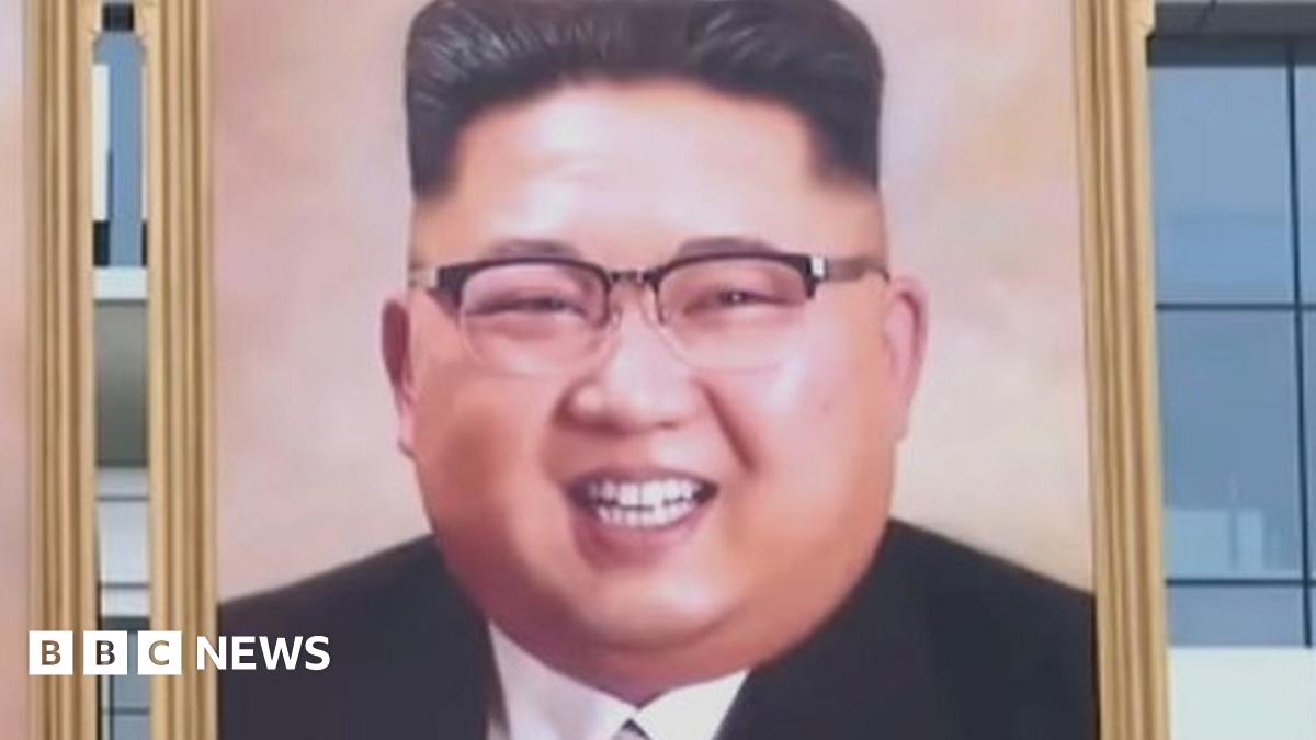 North Korea's Kim Jong-un gets 'first official portrait' - BBC News