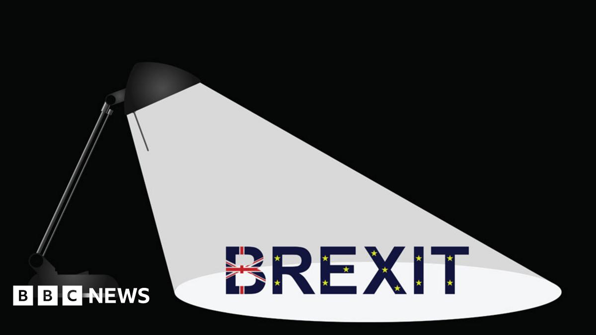 How to read the draft Brexit treaty - BBC News