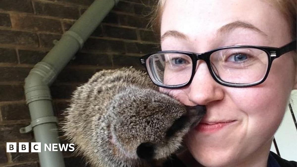 Ellen Higginbottom murder: Police search delayed by four hours - BBC News