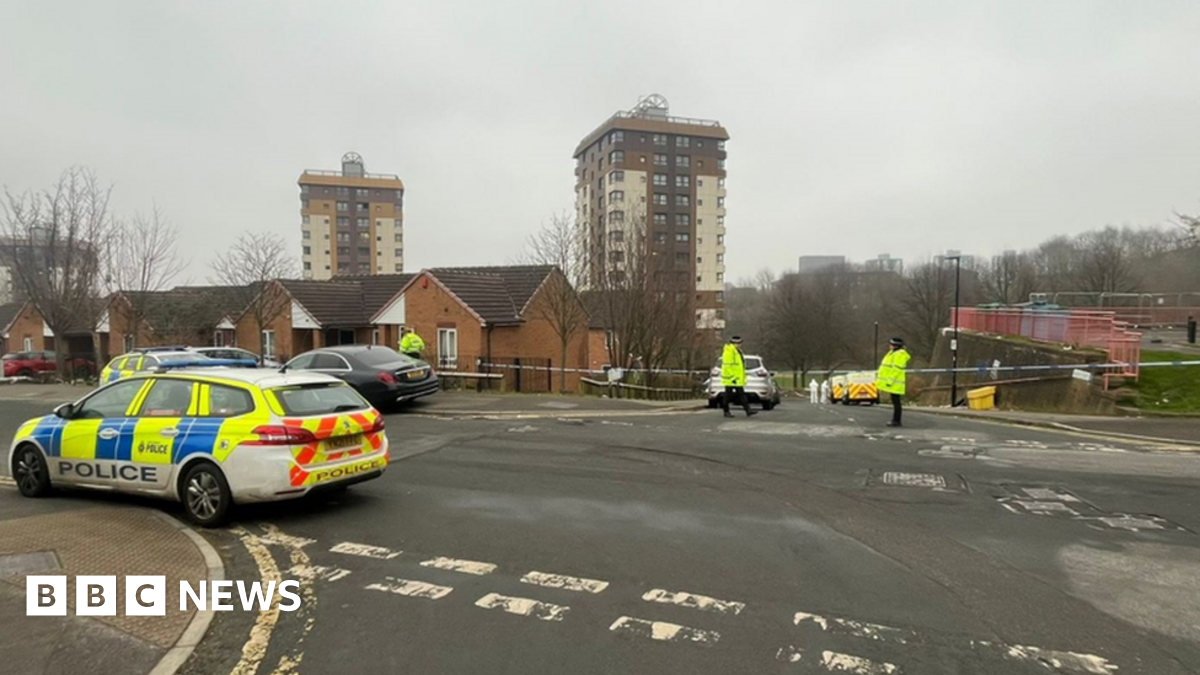 Sheffield: Murder probe after man, 24, dies in park - BBC News