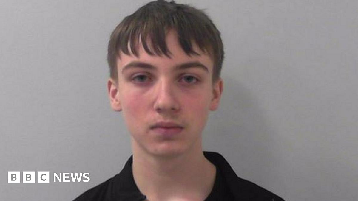 Man, 18, sentenced over indecent images of children - BBC News