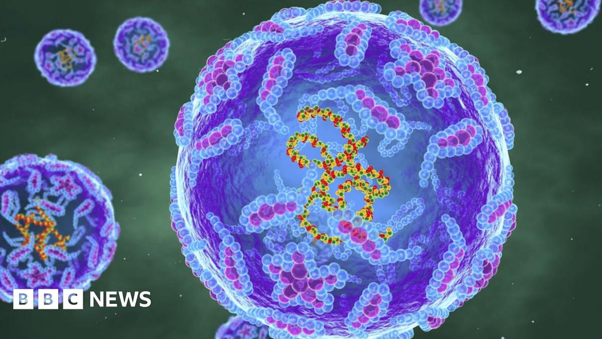 Polio: New York reports first US case in nearly a decade - BBC News