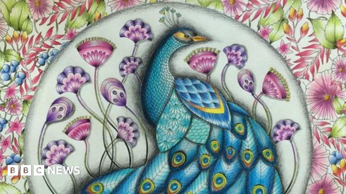 Adult colouring book brings Millie Marotta top 10 success - BBC News