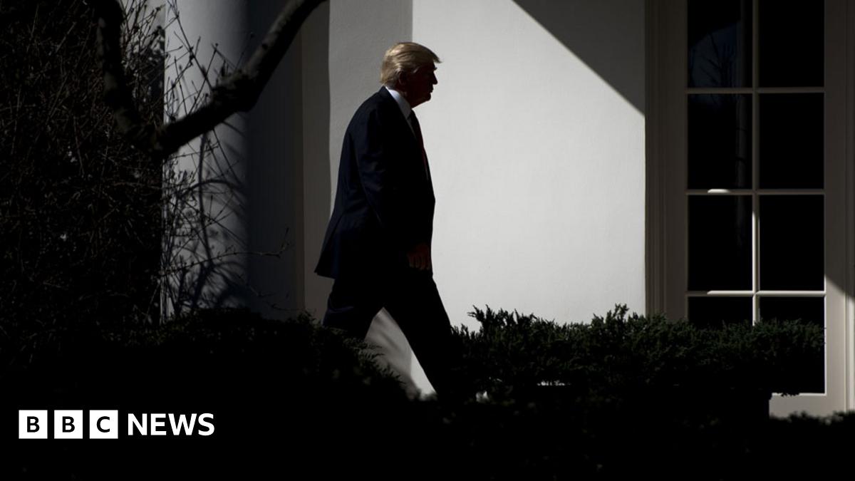 Has Trump kept his campaign promises? - BBC News