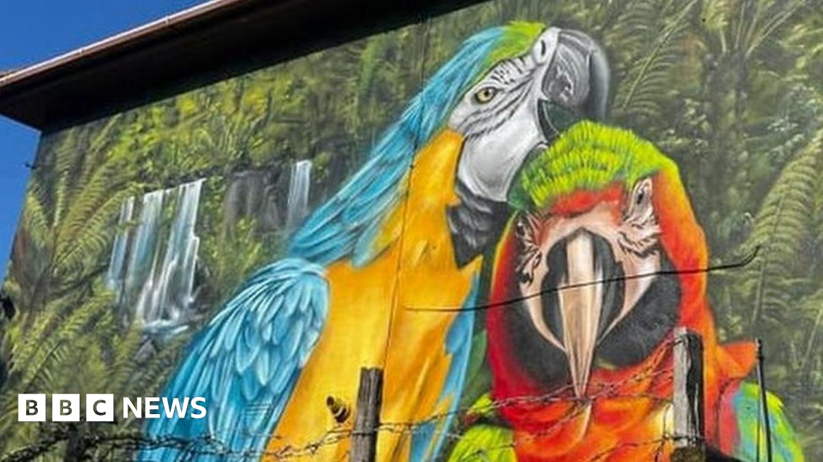 Giant parrots painted on Peterborough 'bird man's' house - BBC News