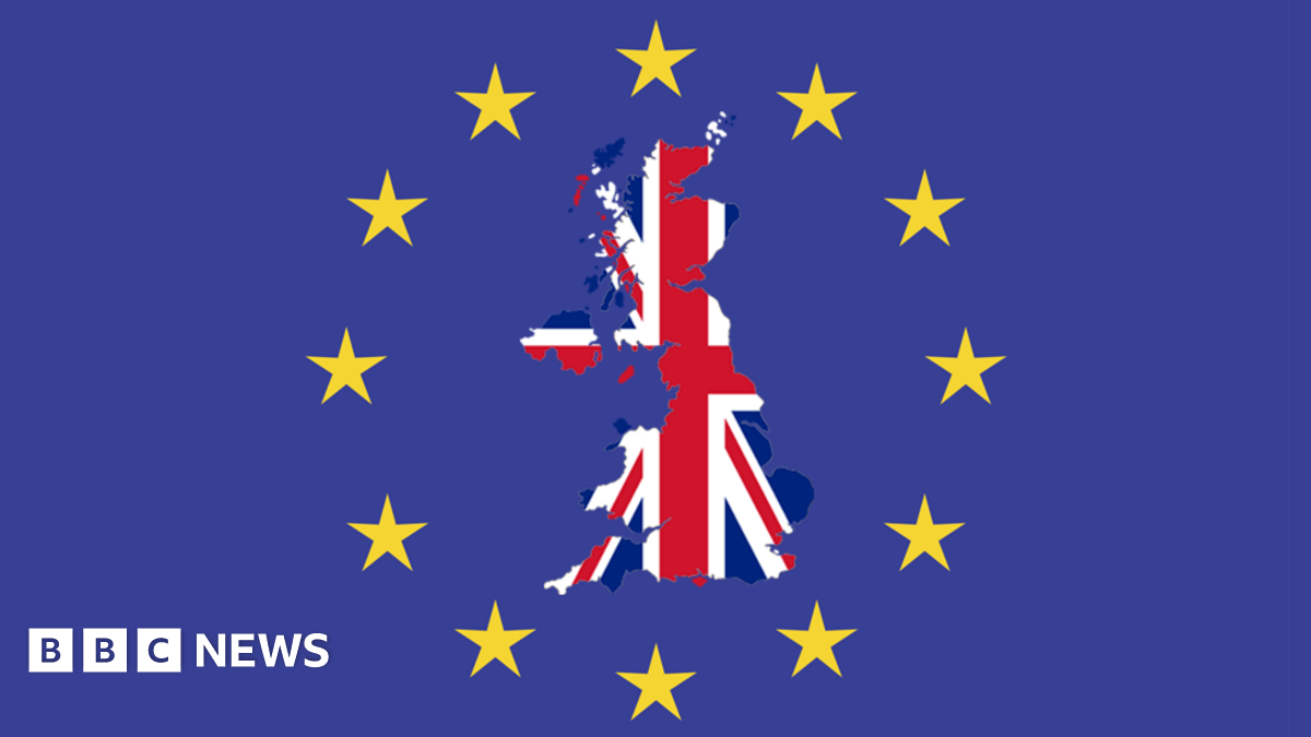 'No-one understands what hard or soft Brexit mean' - BBC News