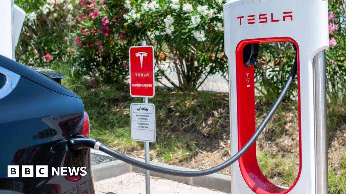 How Tesla generated billions for Scottish stock-pickers - BBC News