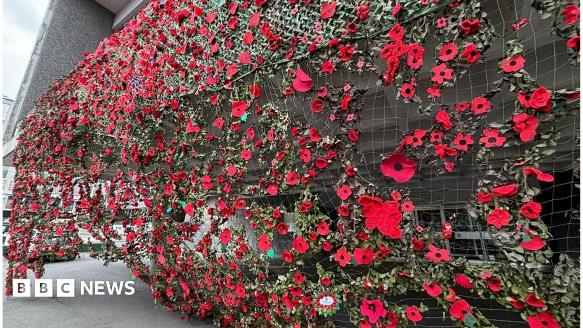 Poppies on display for Remembrance Sunday - BBC News