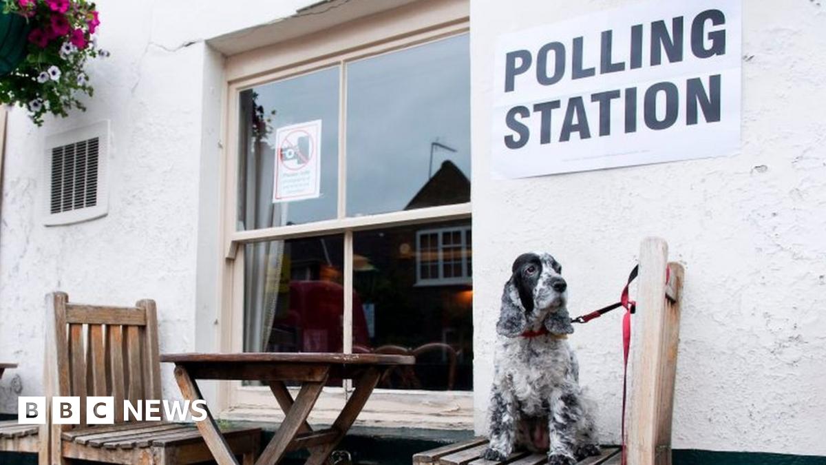 General election 2019: What is the secret behind tactical voting? - BBC ...