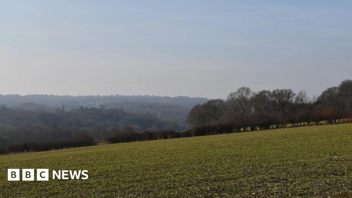 Kent Wildlife Trust purchases Hoathly Farm for rewilding project - BBC News
