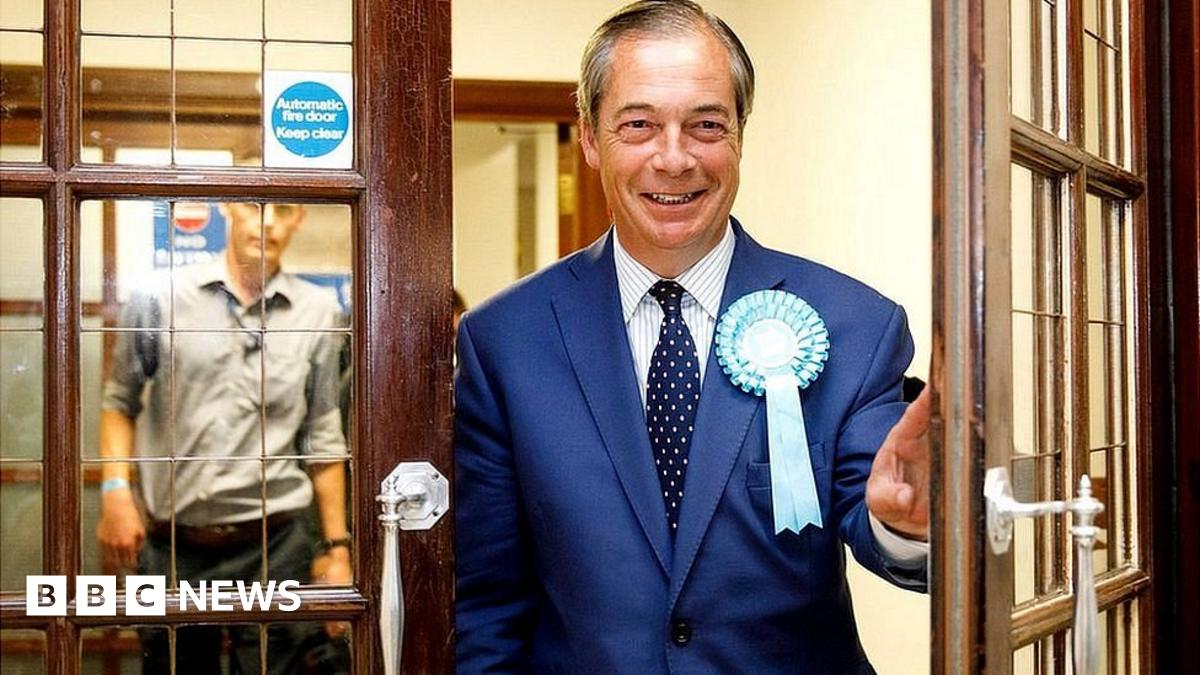 What would a Brexit Party Brexit look like? - BBC News