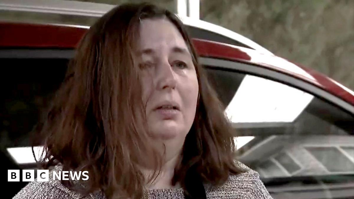 Erin Patterson: Mushroom lunch cook pleads not guilty to murder - BBC News