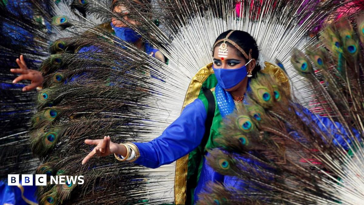 Week in pictures: 23-29 January 2021 - BBC News