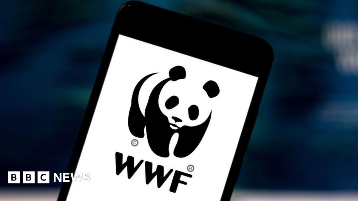 WWF vows to 'do more' after human rights abuse reports - BBC News