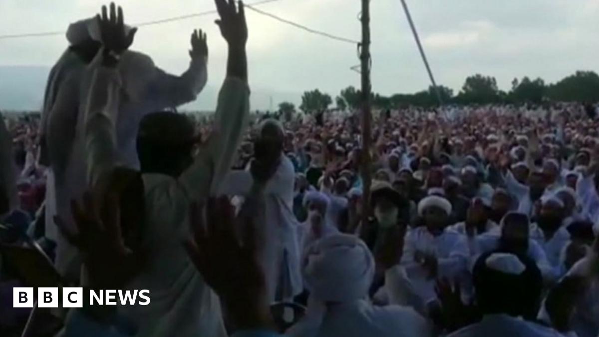 Taliban members 'pledge allegiance' amid leadership rift - BBC News