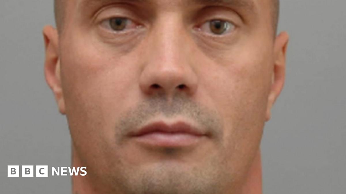 'Most wanted' Florin Ghinea extradited to Romania - BBC News