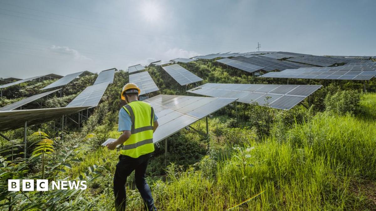 Public inquiry into Kemberton solar farm plan to begin - BBC News