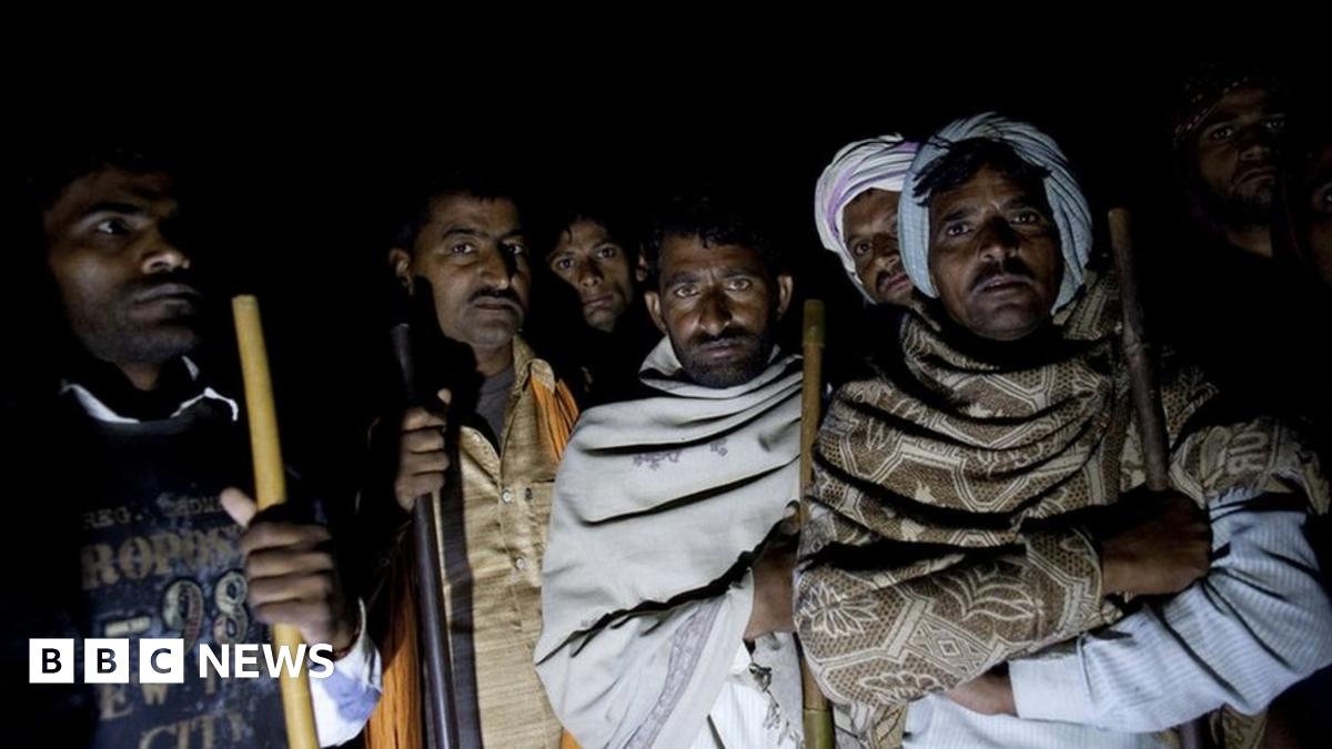 A night patrol with India's cow protection vigilantes - BBC News