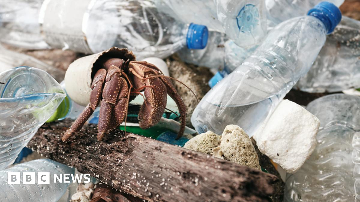 Climate Change: Don't sideline plastic problem, nations urged - BBC News