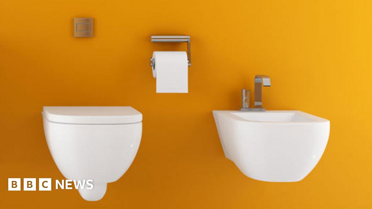 The joy of bidets - BBC News