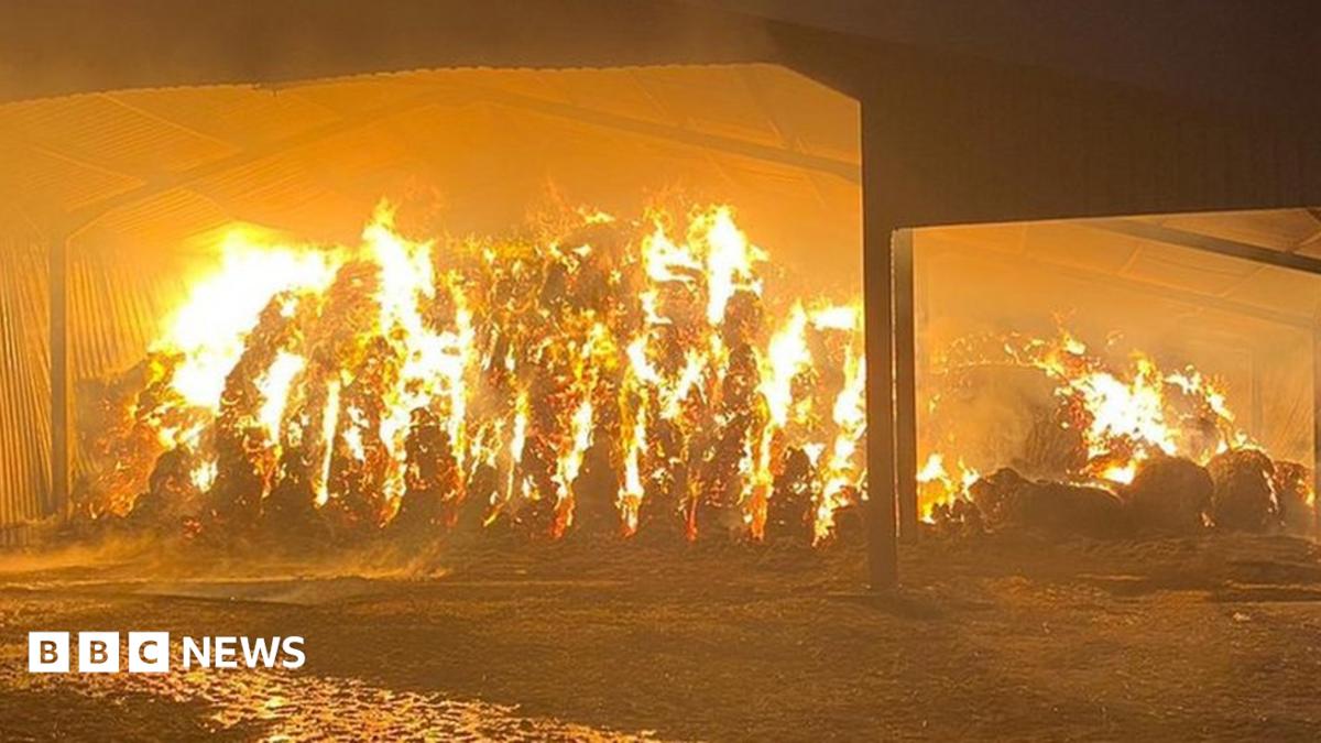 Braintree fire: Crews remain at the scene of large barn blaze - BBC News