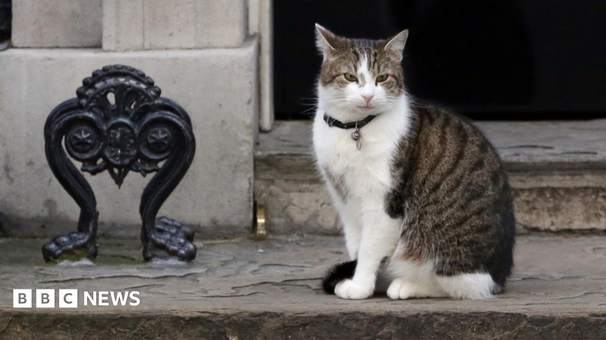 Quiz of the week's news - BBC News