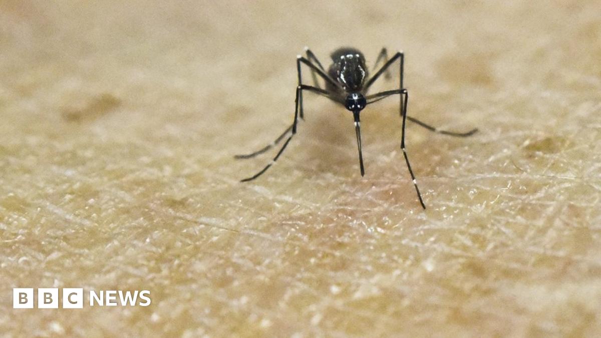 Zika virus 'scarier than thought' says US - BBC News