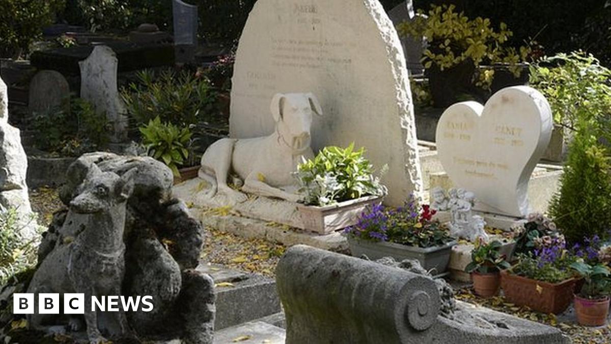 Pet cemetery plan aims to boost Calderdale Council funds - BBC News
