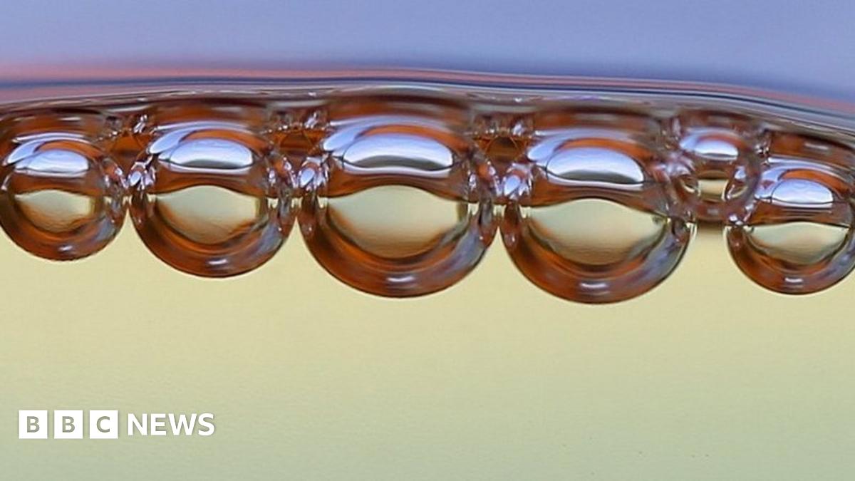 Your pictures: Floating - BBC News