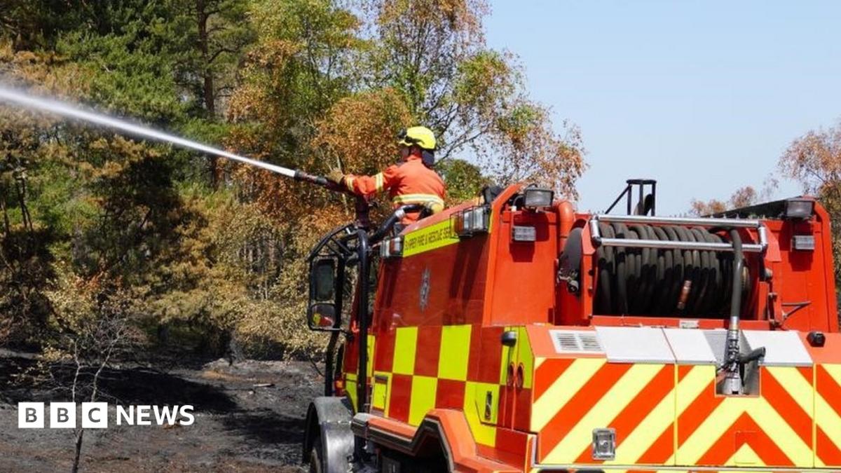 Wildfires: UK to set up new Mediterranean-style specialist units - BBC News